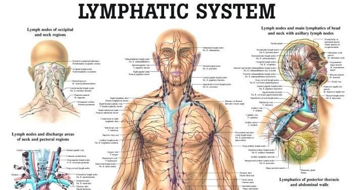 Manual Lymphatic Drainage - Sarah Young Manual Lymphatic Drainage - Sarah Young